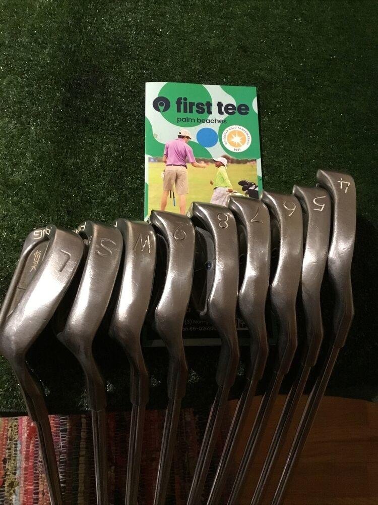 Ping ISI-K Karsten Blue Dot Irons Set (4-LW) Steel Shafts – Deegot